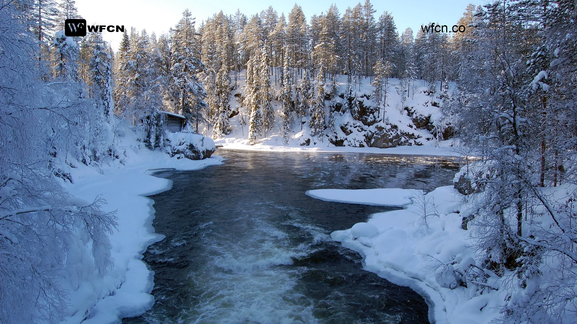 Women’s Films from Finland | WFCN